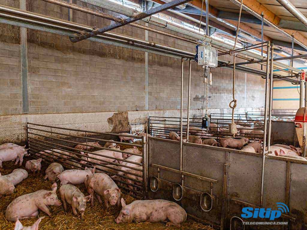 Recinti per Animali Elettrificati | SITIP